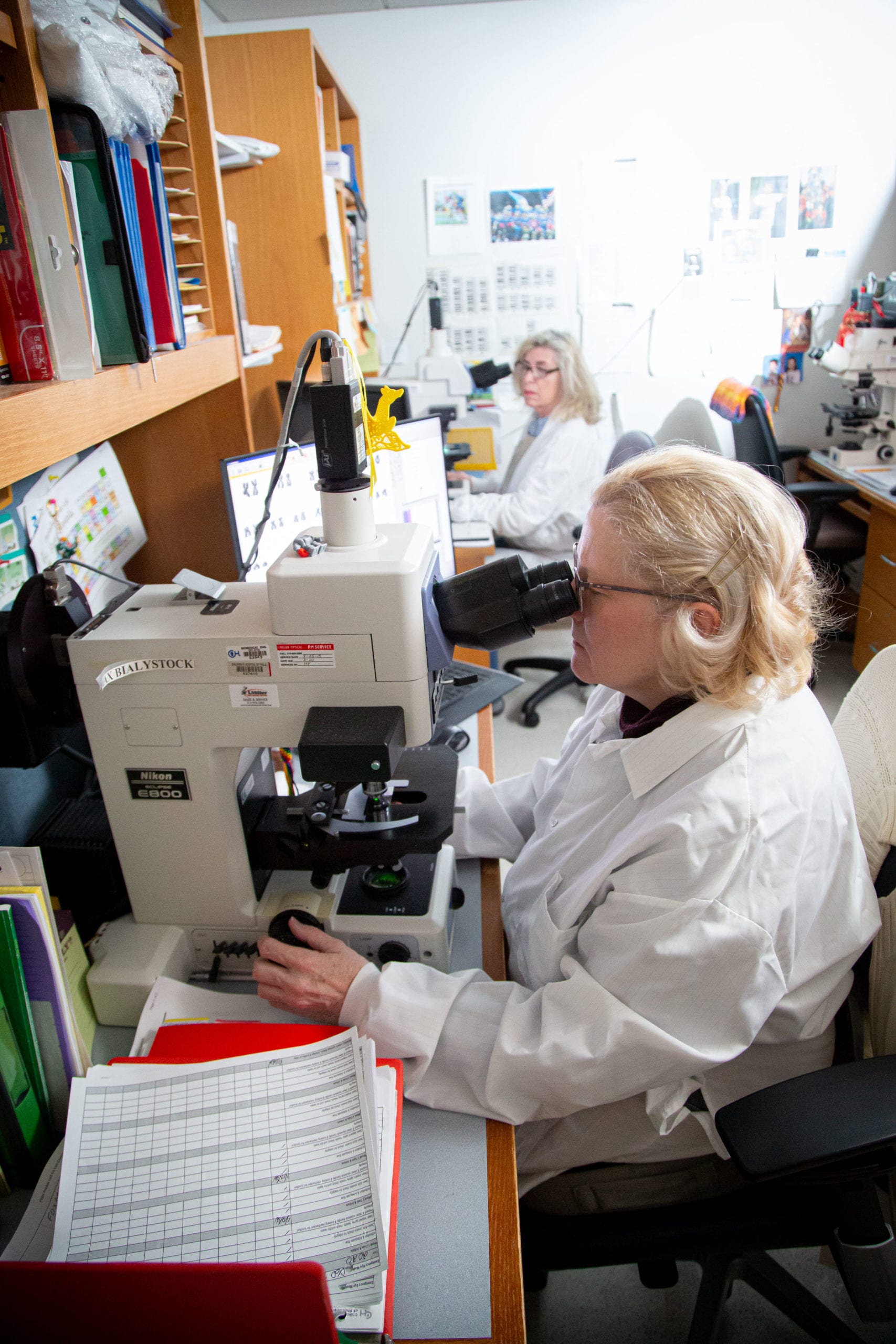 Want to Transition into a Career in Clinical Genetics? - ASHG