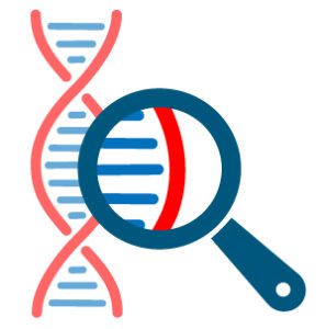 New ASHG Fact Sheet: Teaching the Public how Scientists Analyze DNA - ASHG